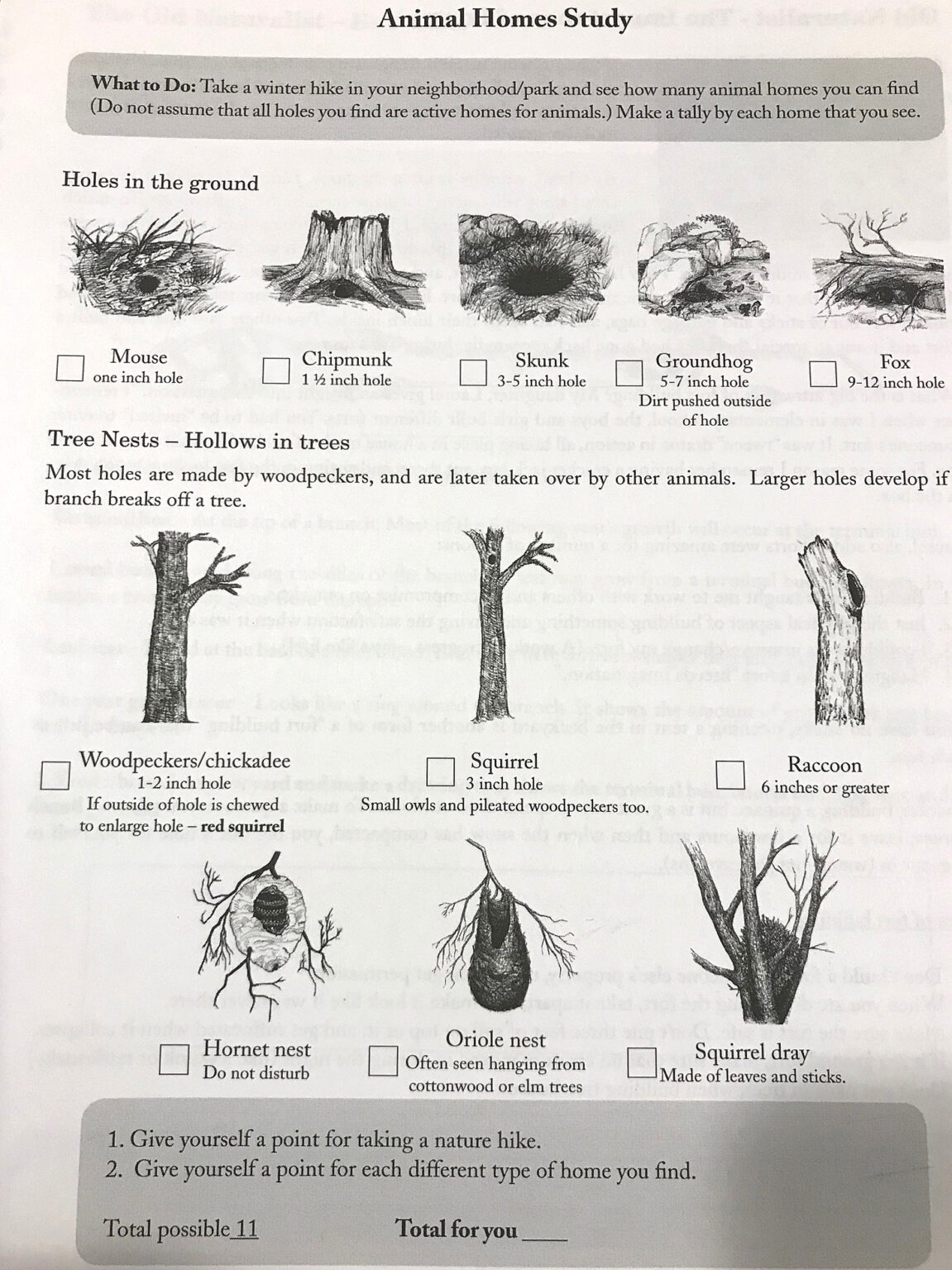 Fall Nature School, Lesson 6 – Animal Homes Nature Hike | The Old ...