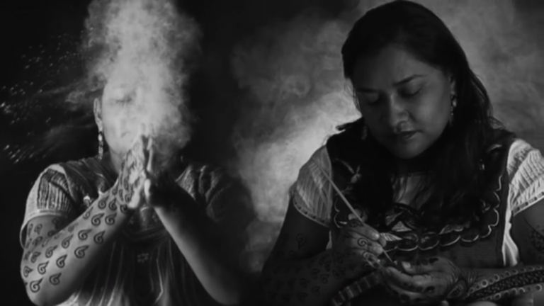 The Old Naturalist | a voice for the earth–honoring life and seeking beauty