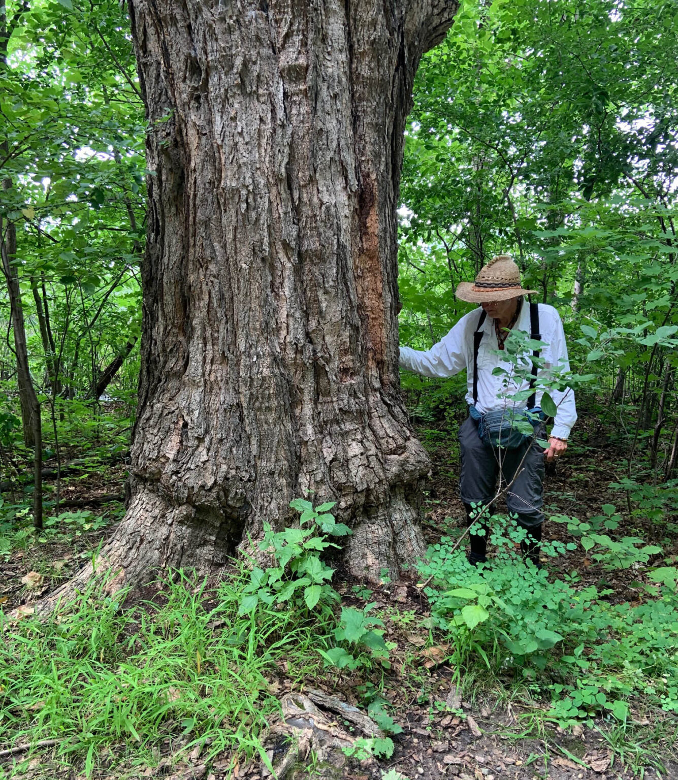 The Old Naturalist | a voice for the earth–honoring life and seeking beauty