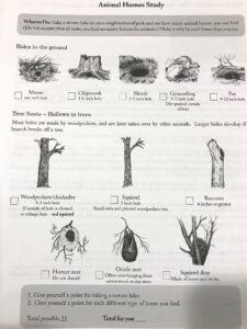 Fall Nature School, Lesson 6 – Animal Homes Nature Hike | The Old ...