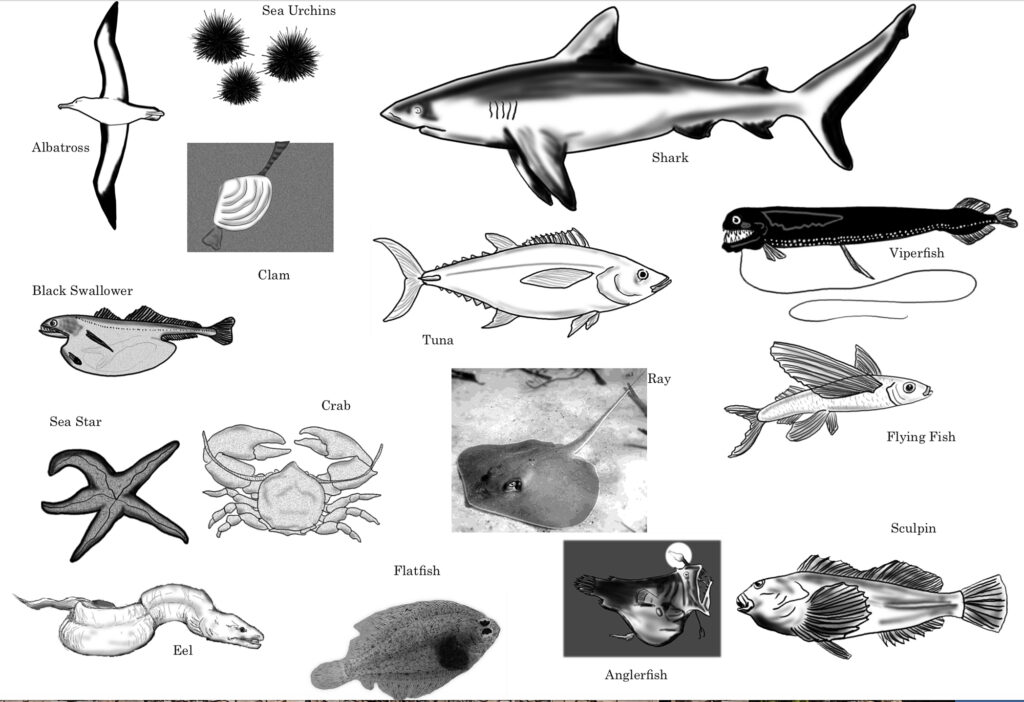 The Old Naturalist | a voice for the earth–honoring life and seeking beauty