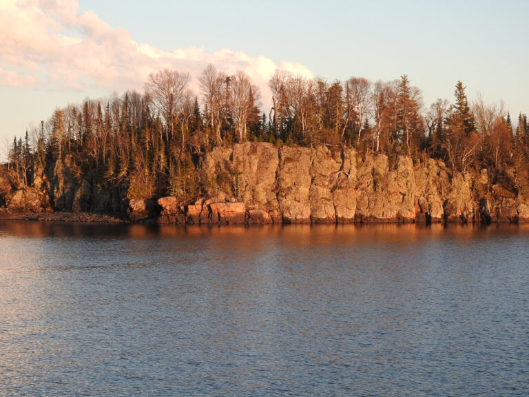 The Old Naturalist | a voice for the earth–honoring life and seeking beauty