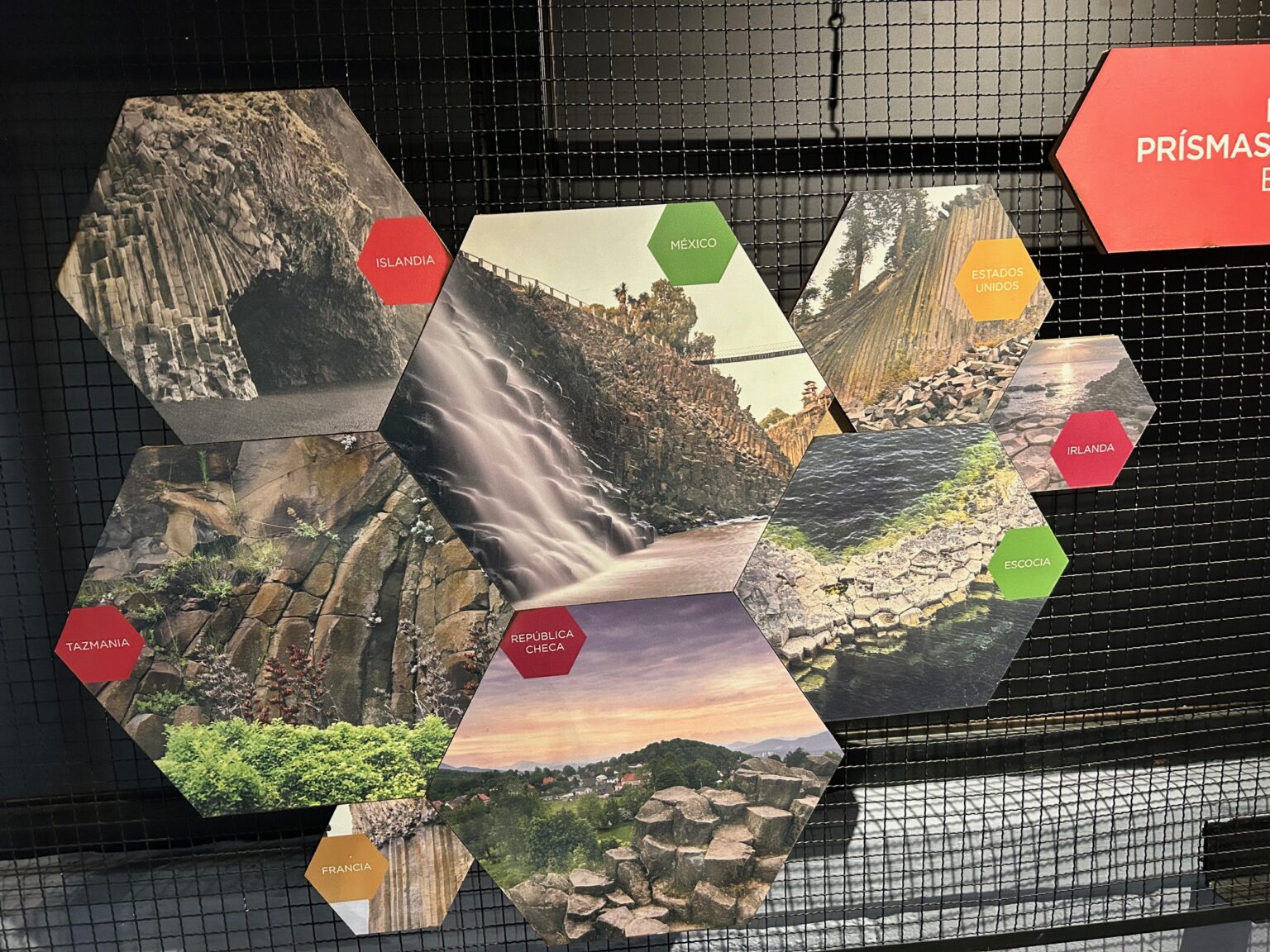 The Old Naturalist | a voice for the earth–honoring life and seeking beauty